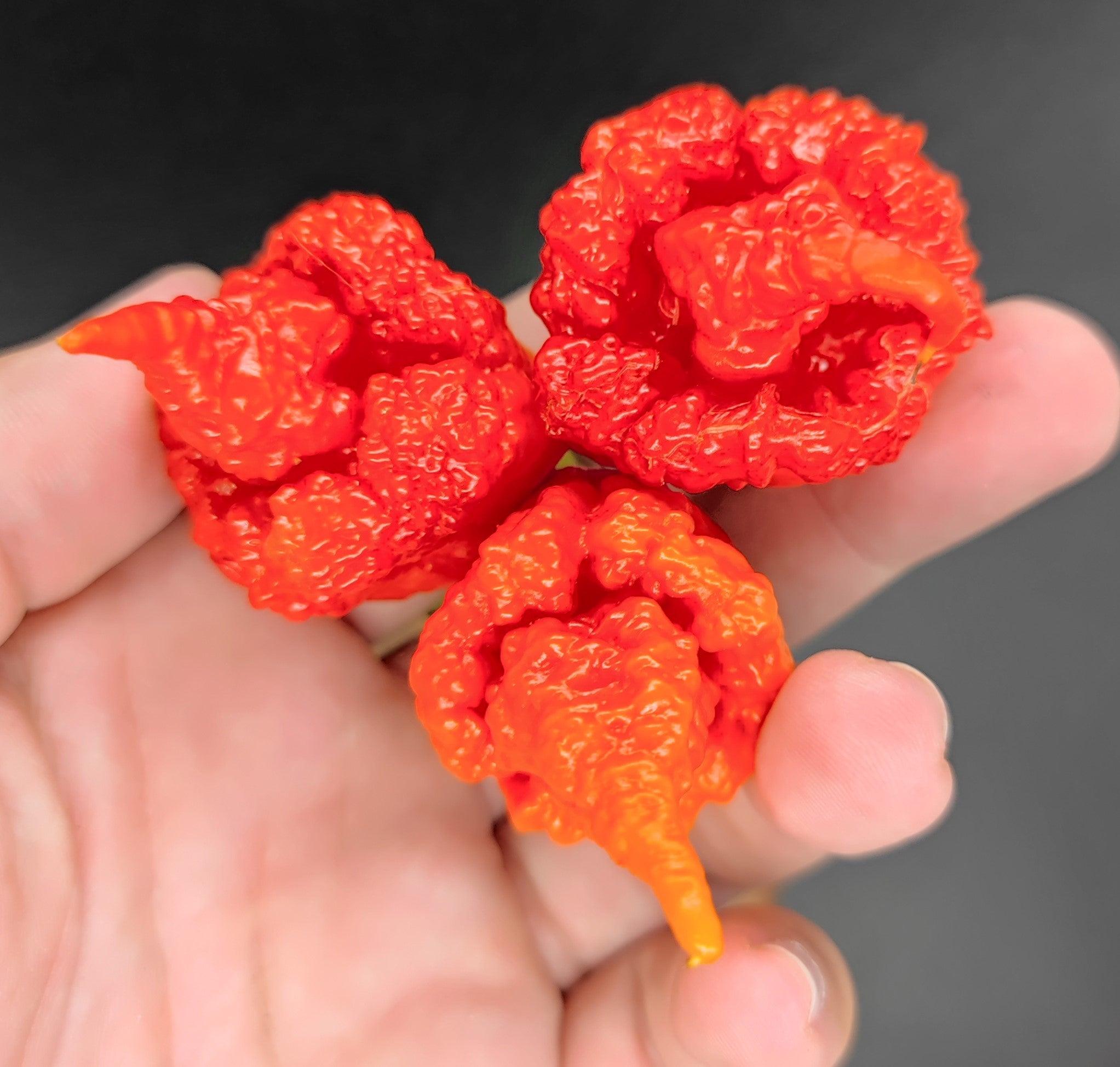 Pepper Merchant Seeds | Unique Peppers from Flavor to Fire ...