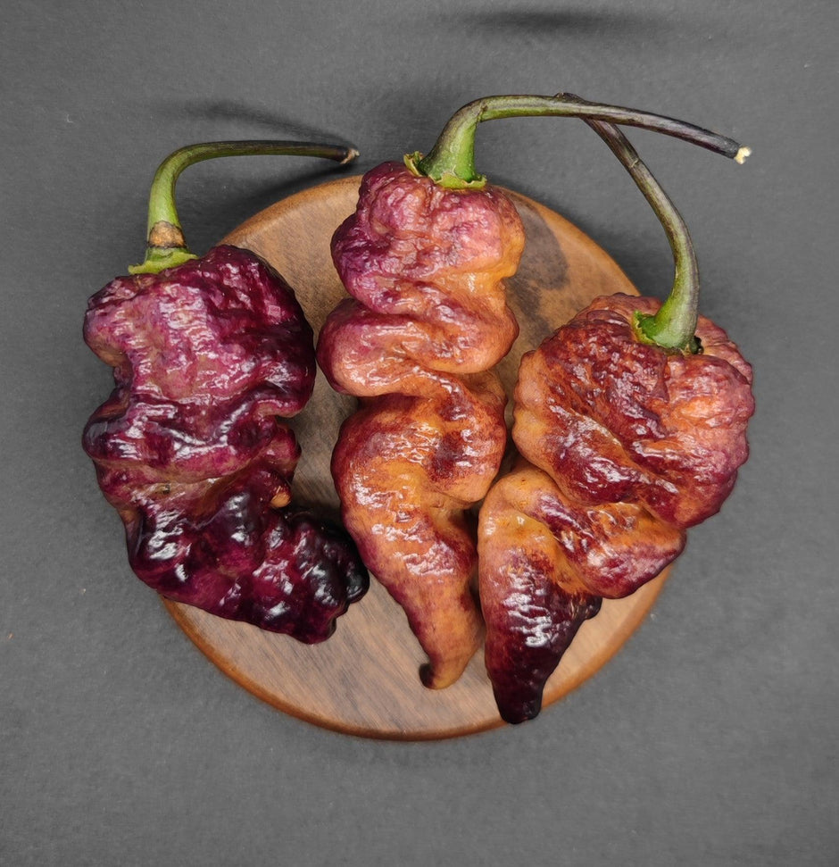 Pepper Merchant Seeds – PepperMerchant.net