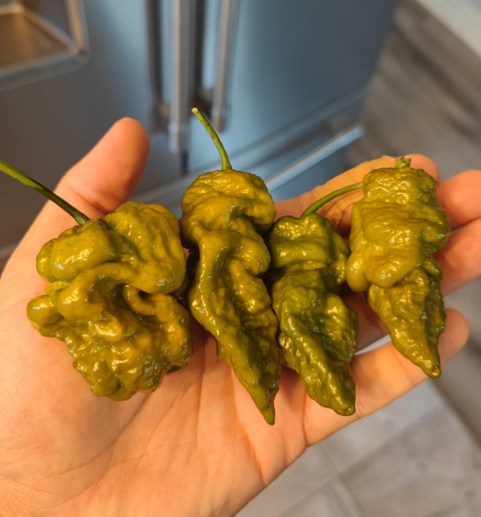 Pepper Merchant Seeds – PepperMerchant.net