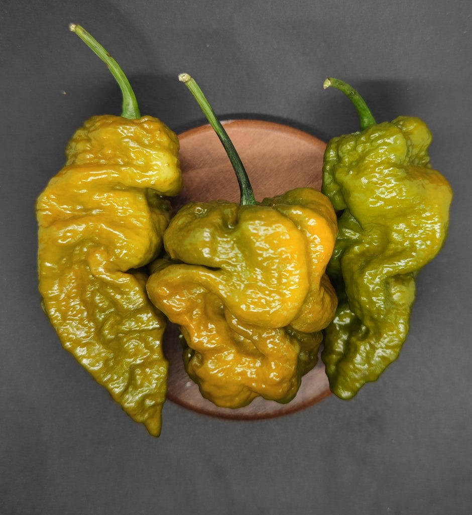Pepper Merchant Seeds – PepperMerchant.net