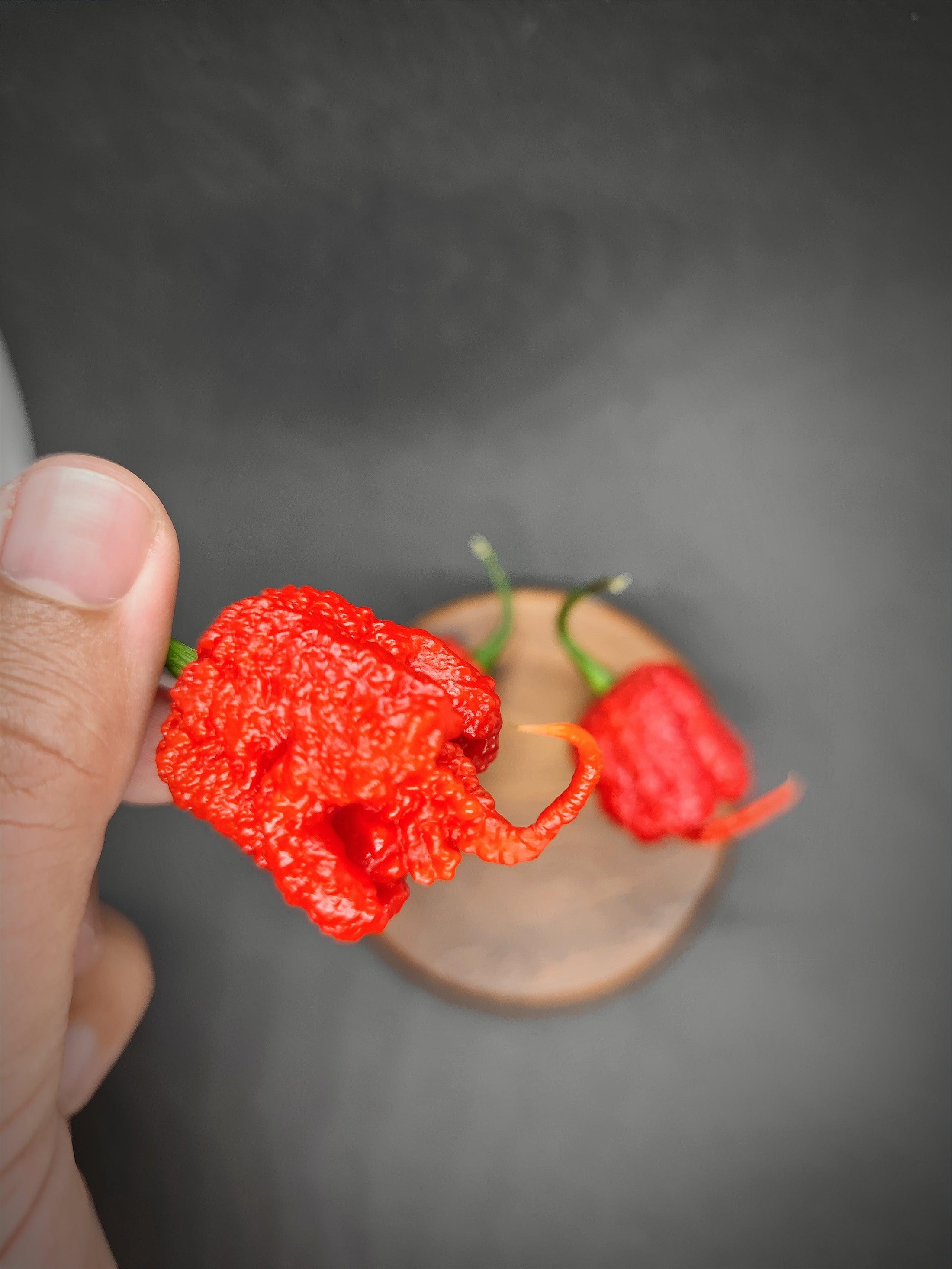 Carolina Reaper – PepperMerchant.net