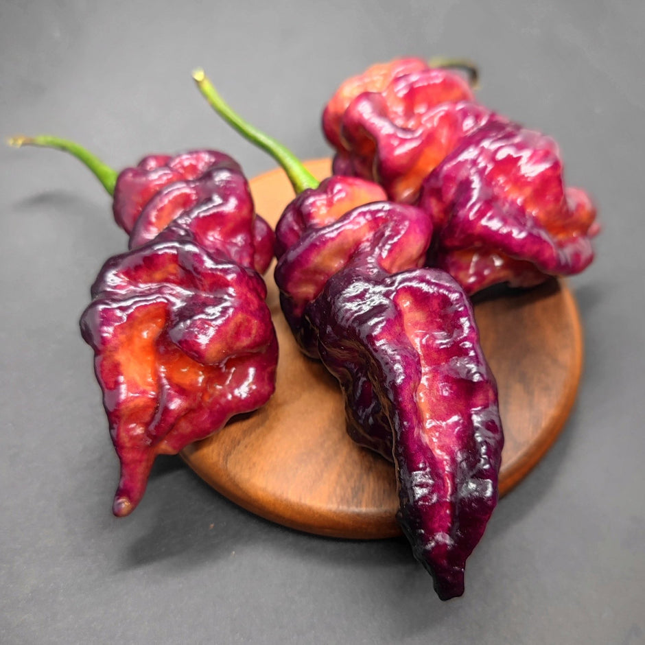 Pepper Merchant Seeds | Unique Peppers from Flavor to Fire ...