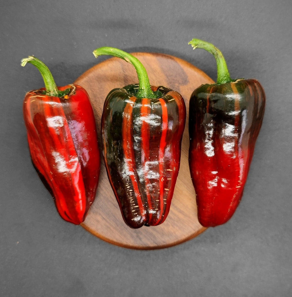 Pepper Merchant Seeds | Unique Peppers from Flavor to Fire ...
