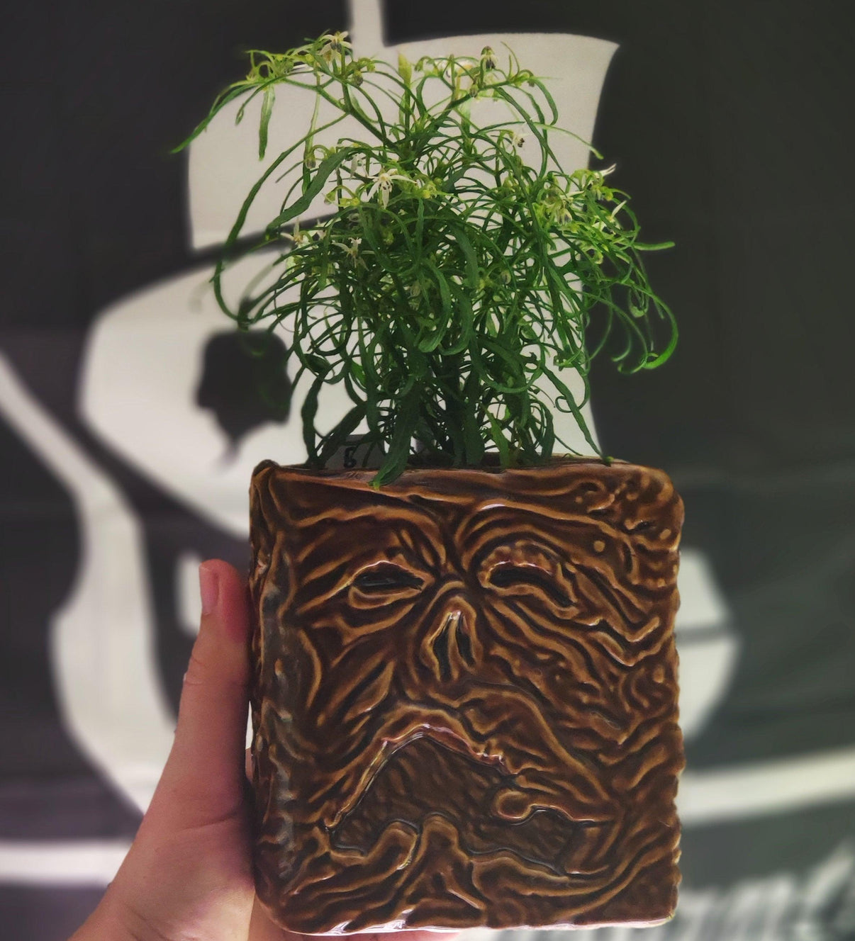 Candlelight Mutant – PepperMerchant.net